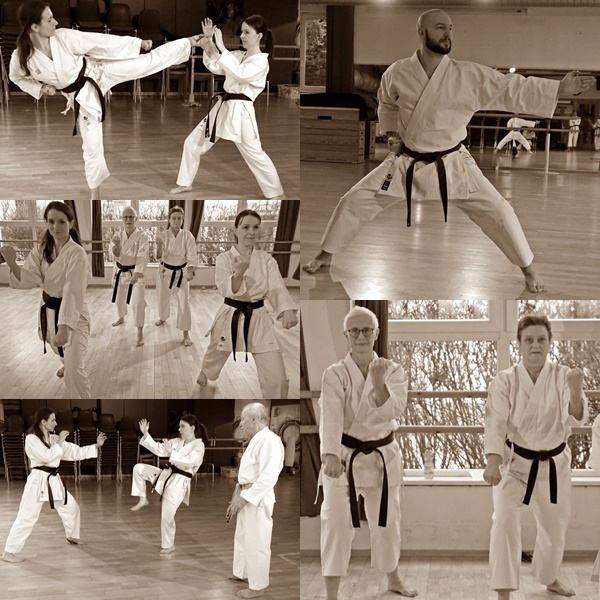 Qi Gong Kampfkunst - Jochen Dressel - Karate Erwachsene
